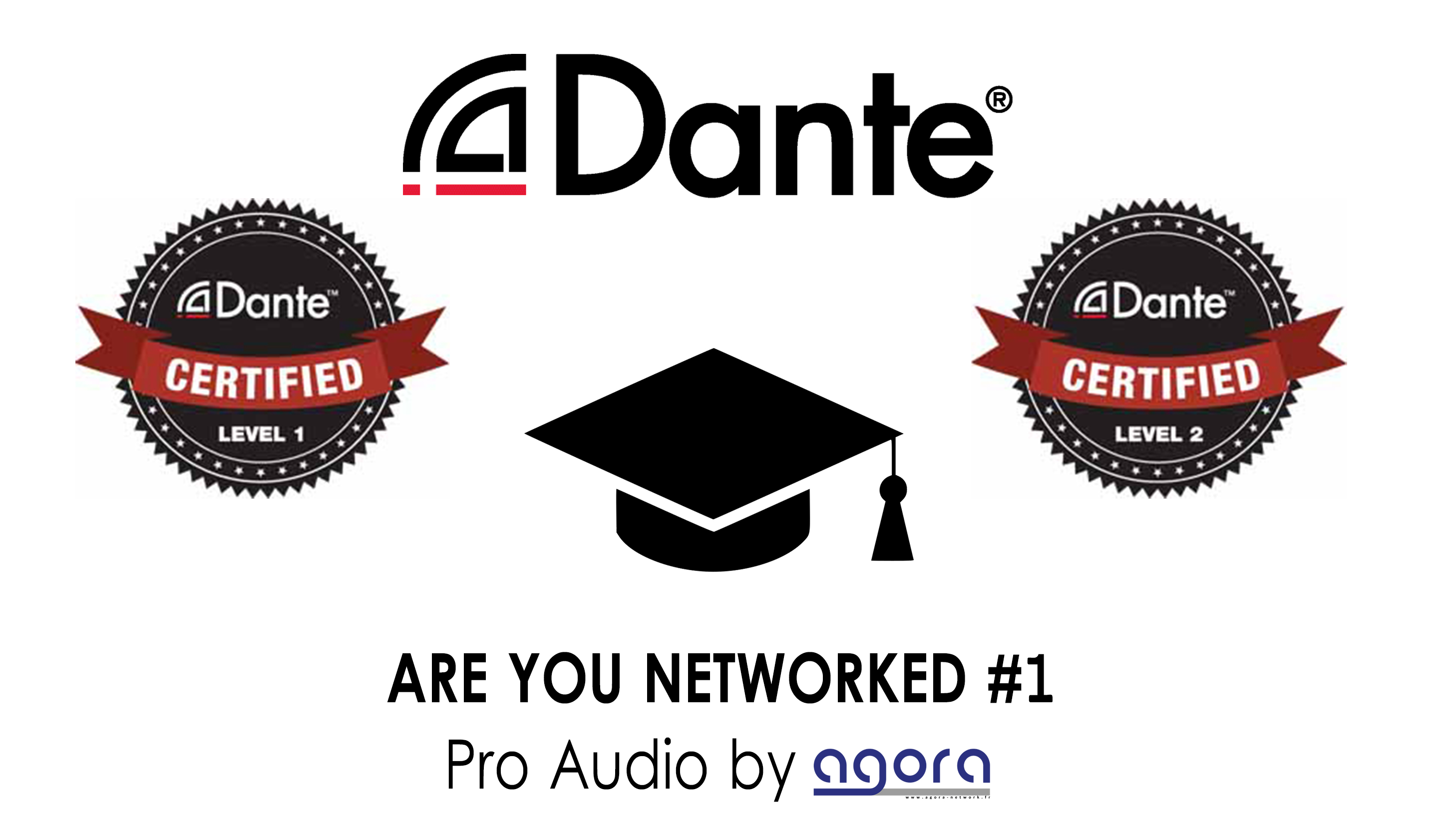 Formation audio Dante