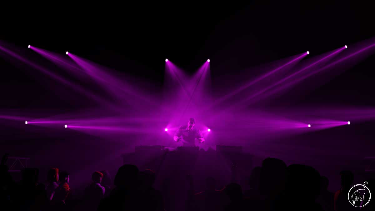 Formations Wysiwyg light niveau avancé